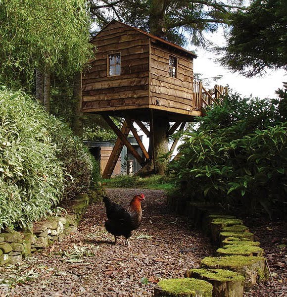 What a Wonderful Life: Amazon Tree Houses
