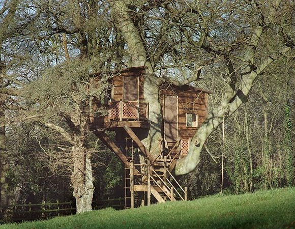 What a Wonderful Life: Amazon Tree Houses