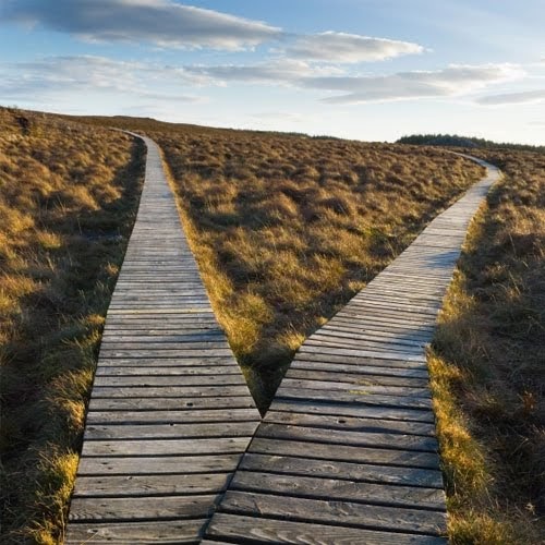 Wk 5 & Taking a Different Path | NO ORDINARY MOMENTS