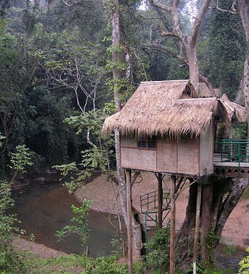 Weird Cool Things: Bizarre Tree houses