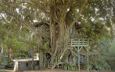 Weird Cool Things: Bizarre Tree houses