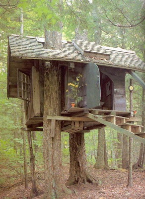 Weird Cool Things: Bizarre Tree houses