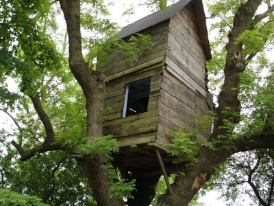 Weird Cool Things: Bizarre Tree houses
