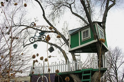 Weird Cool Things: Bizarre Tree houses