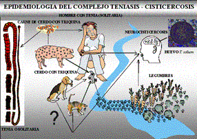 biologia