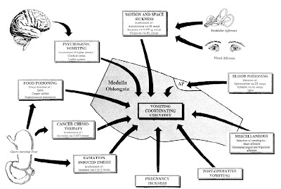 The Neurocritic: Foreigner and the Area Postrema