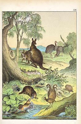 first fleet on. Nash/Williams pioneer families..: 08/07/12 - 15/07/12