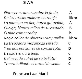 Las letras que queremos hoy: LA VERSIFICACIÓN
