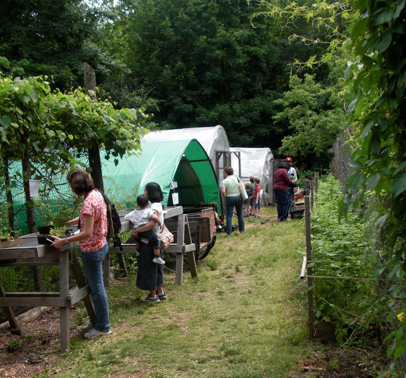 Tagan's Kitchen: City Dwellers Getting Their Farm Fix