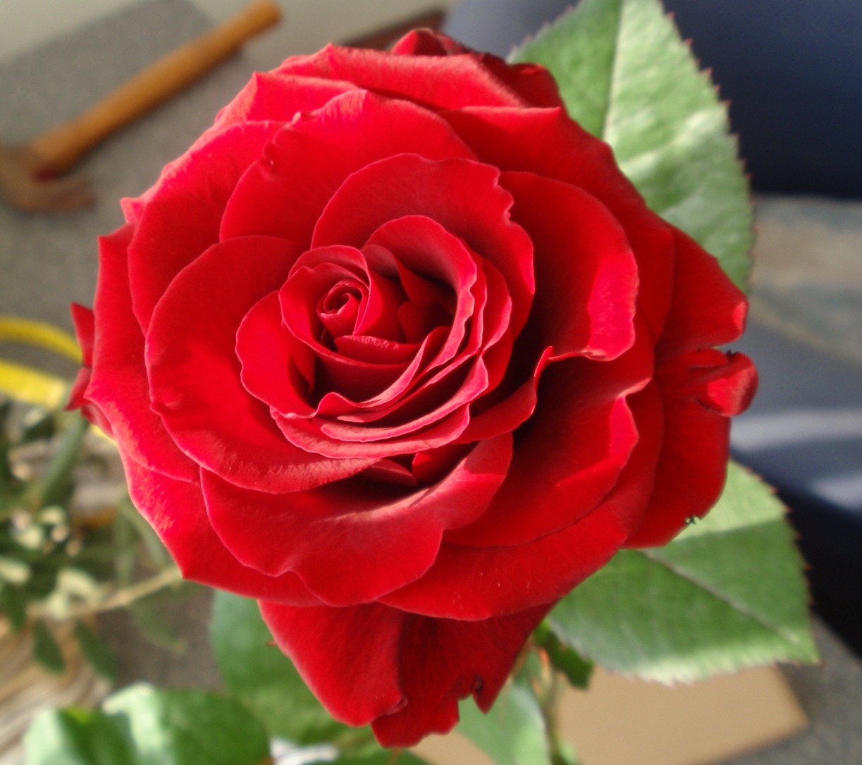 Sparen en besparen met oog op de toekomst: november 2009