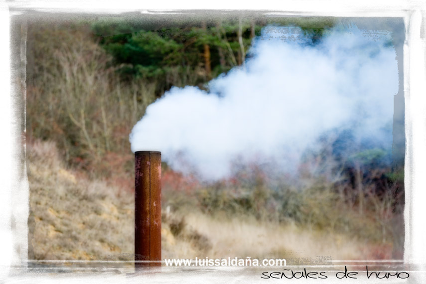 Luis Saldaña: señales de humo