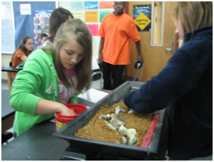 moearthteachr: Running water Erosion lab