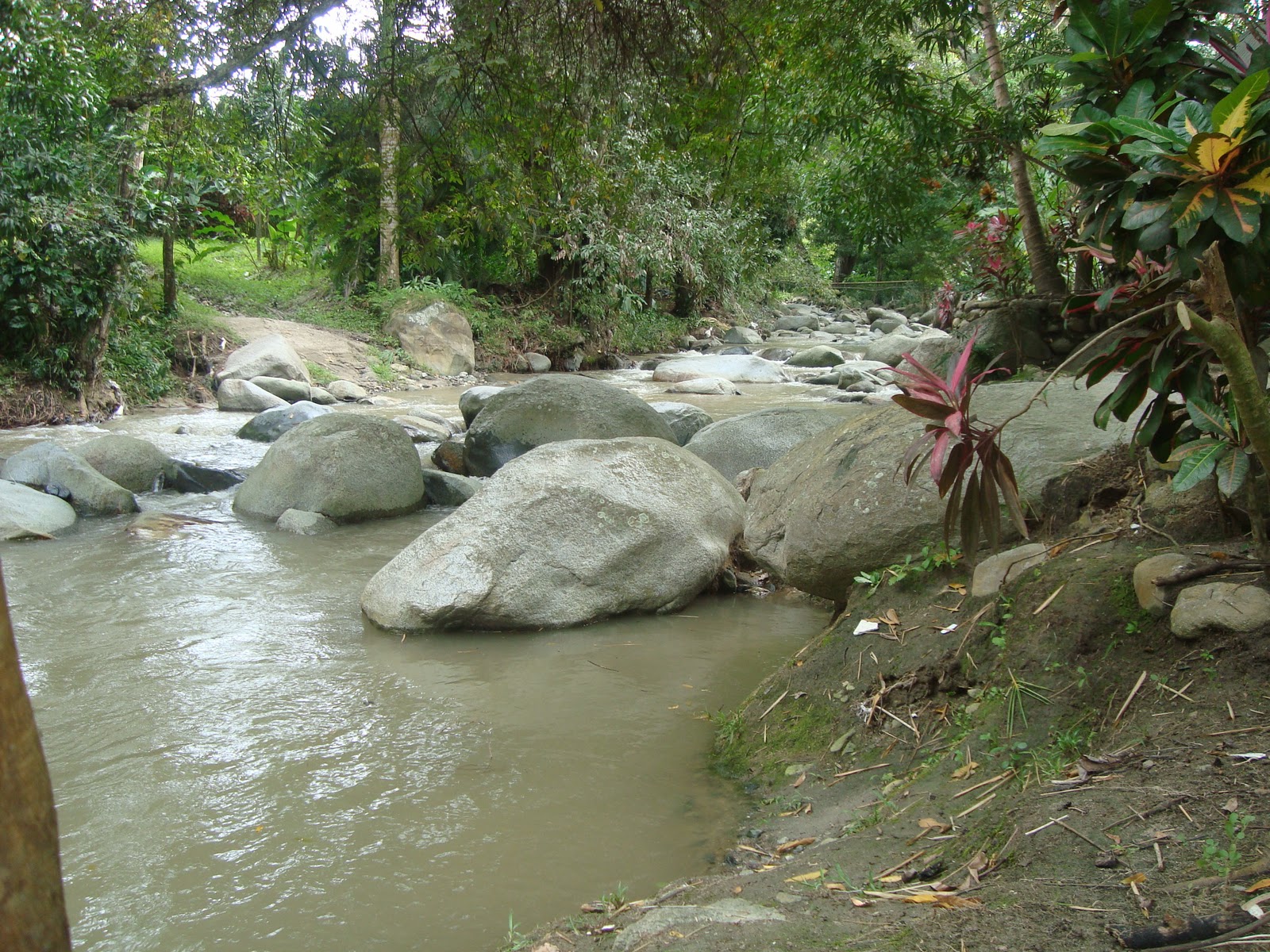 Santa Marta, Ciudad Mágica: BACHICHA