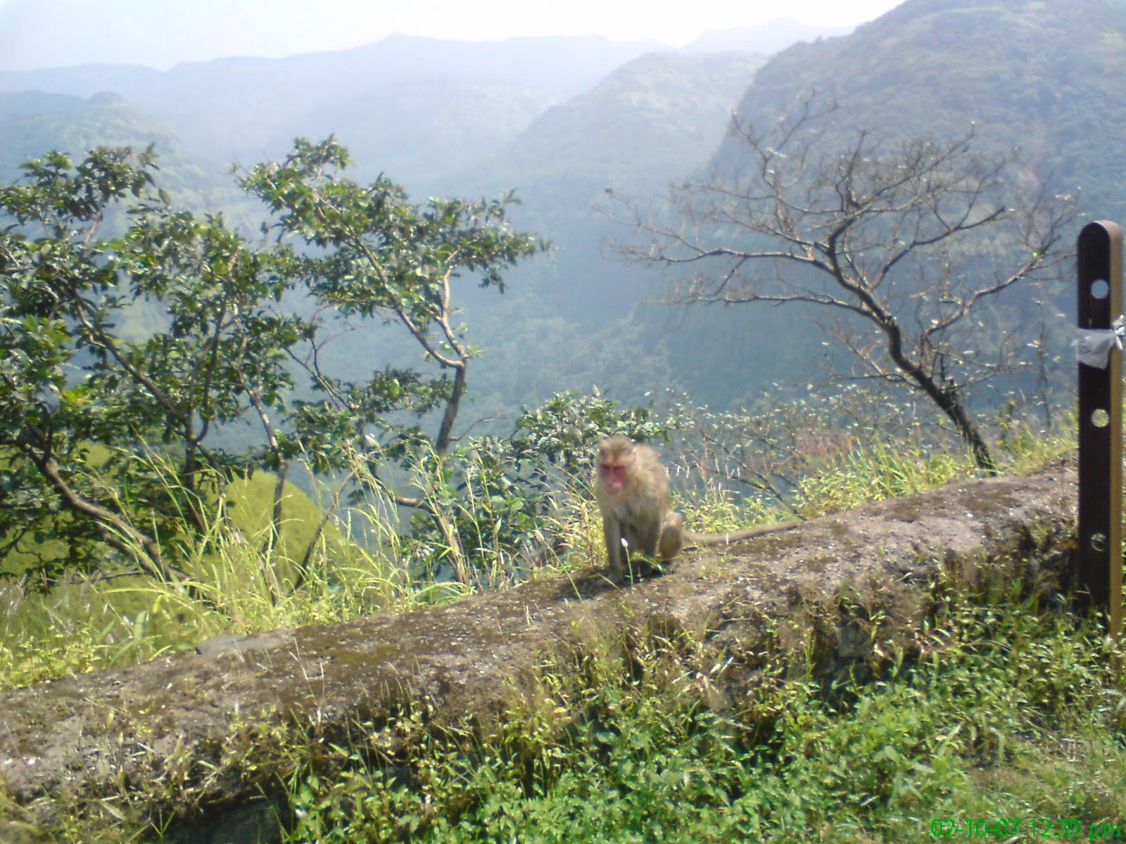 Sahyadri Mountain-Ghat Photos: Varandha Ghat 2