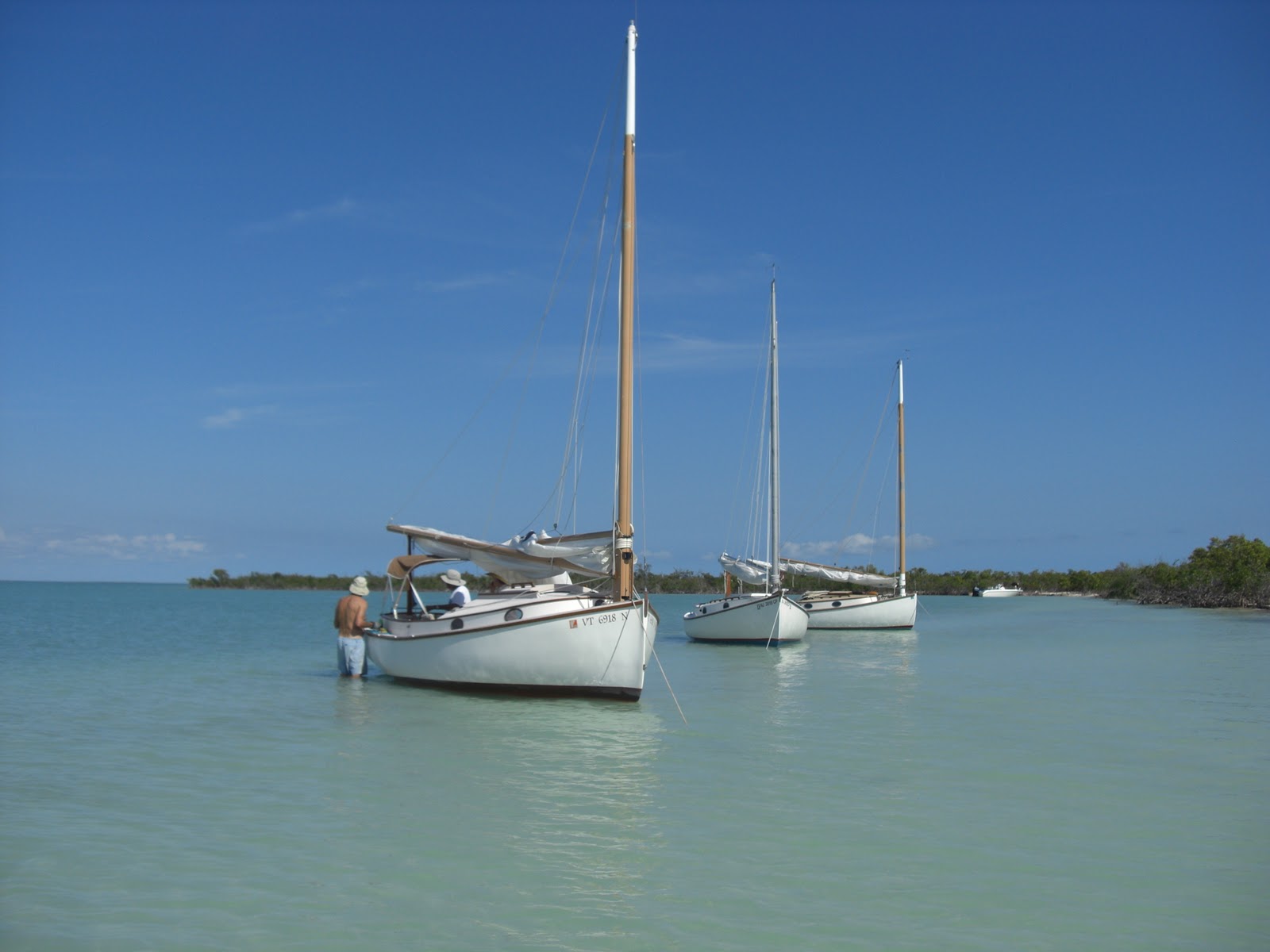 MY LIFE IN THE FLORIDA KEYS AND BEYOND: Nest Key