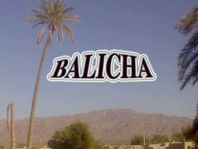 saeed baloch: Great Balicha