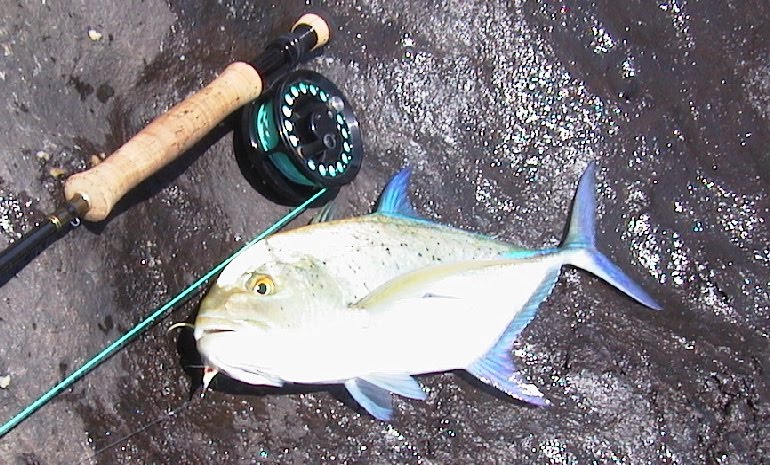 Fly Fishing Maui: Fish Types