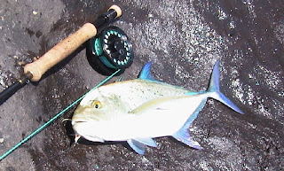 Fly Fishing Maui: Fish Types