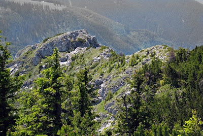 Ana Deveanu: Ciungetu-Prejbeni-Lacul Petrimanu-Curmatura Oltetului ...