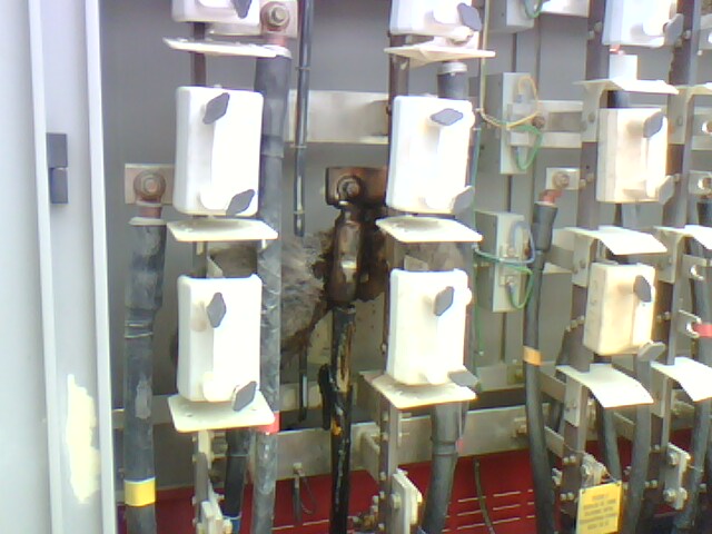 .: Suis Box TNB Terbakar