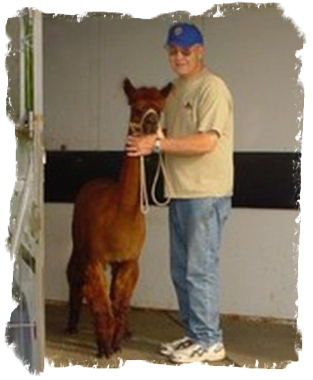 Alpaca Granny - The everyday life of a retired teacher turned alpaca ...