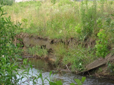 Natural History of Raleigh Photos: PFI tours the Brevard fault