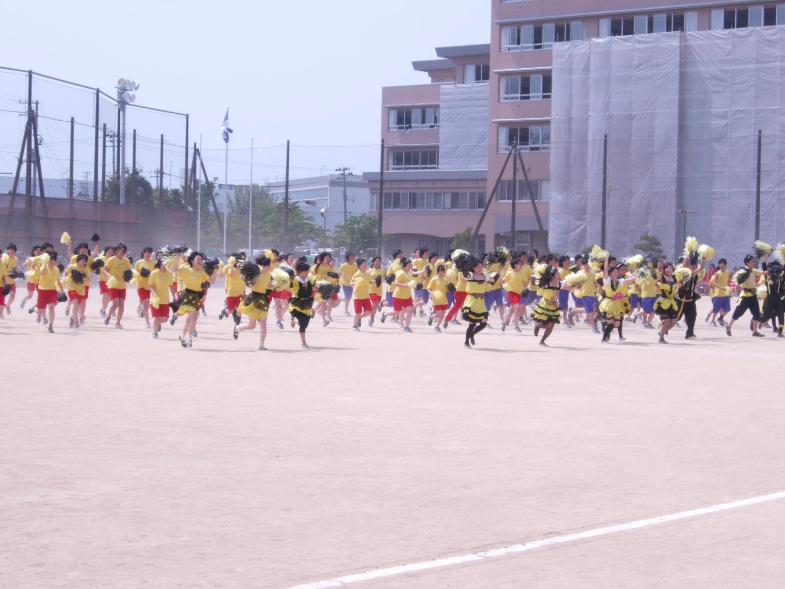 Glimpses of Japan: High School Sports Day Photos: The Honey Bees