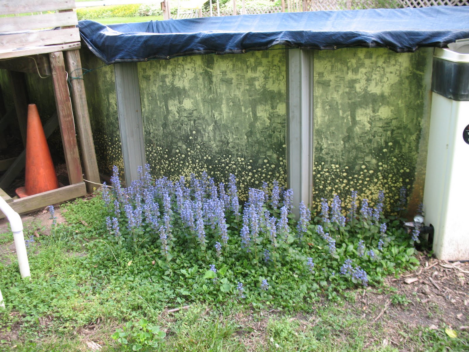 Hall of Flowers: Sandbox canopy, flowers and clouds