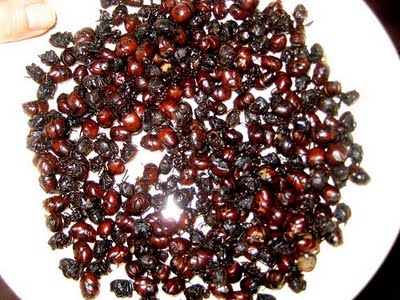 COLOMBIA GRAN PAIS: comidas típicas