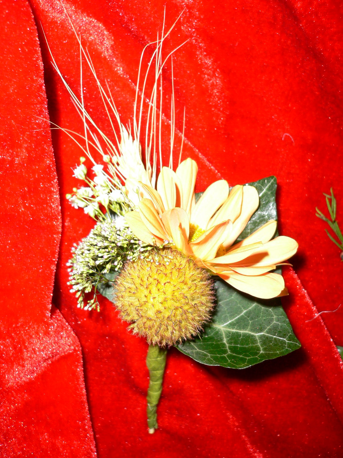 Floraria FLORIS DECO -SLATINA: Cocarde nunta :modele cocarde nunta din ...