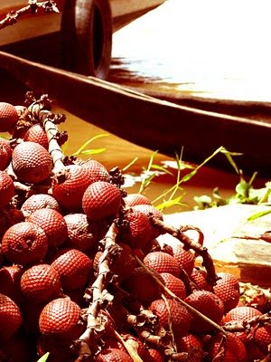 entornos / ... Sao Paulo y su entorno: Fruta,... turismo y haciendas