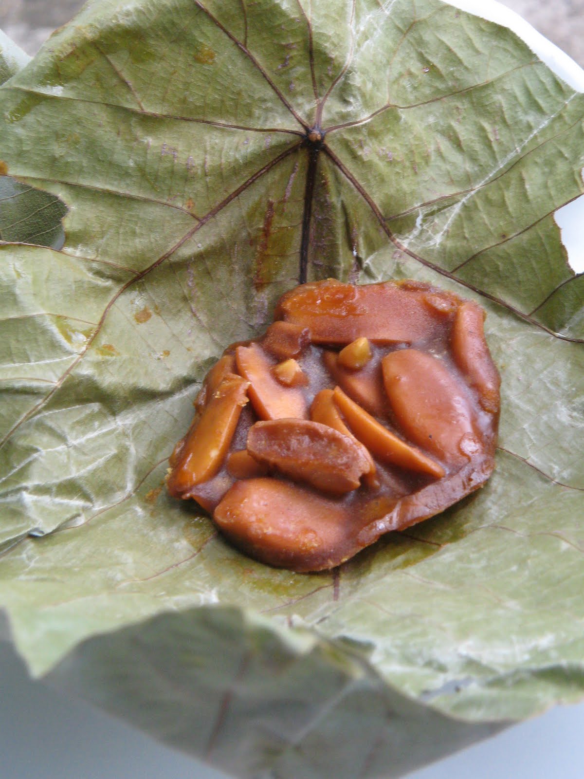 bucaio: Bring Home Bicol