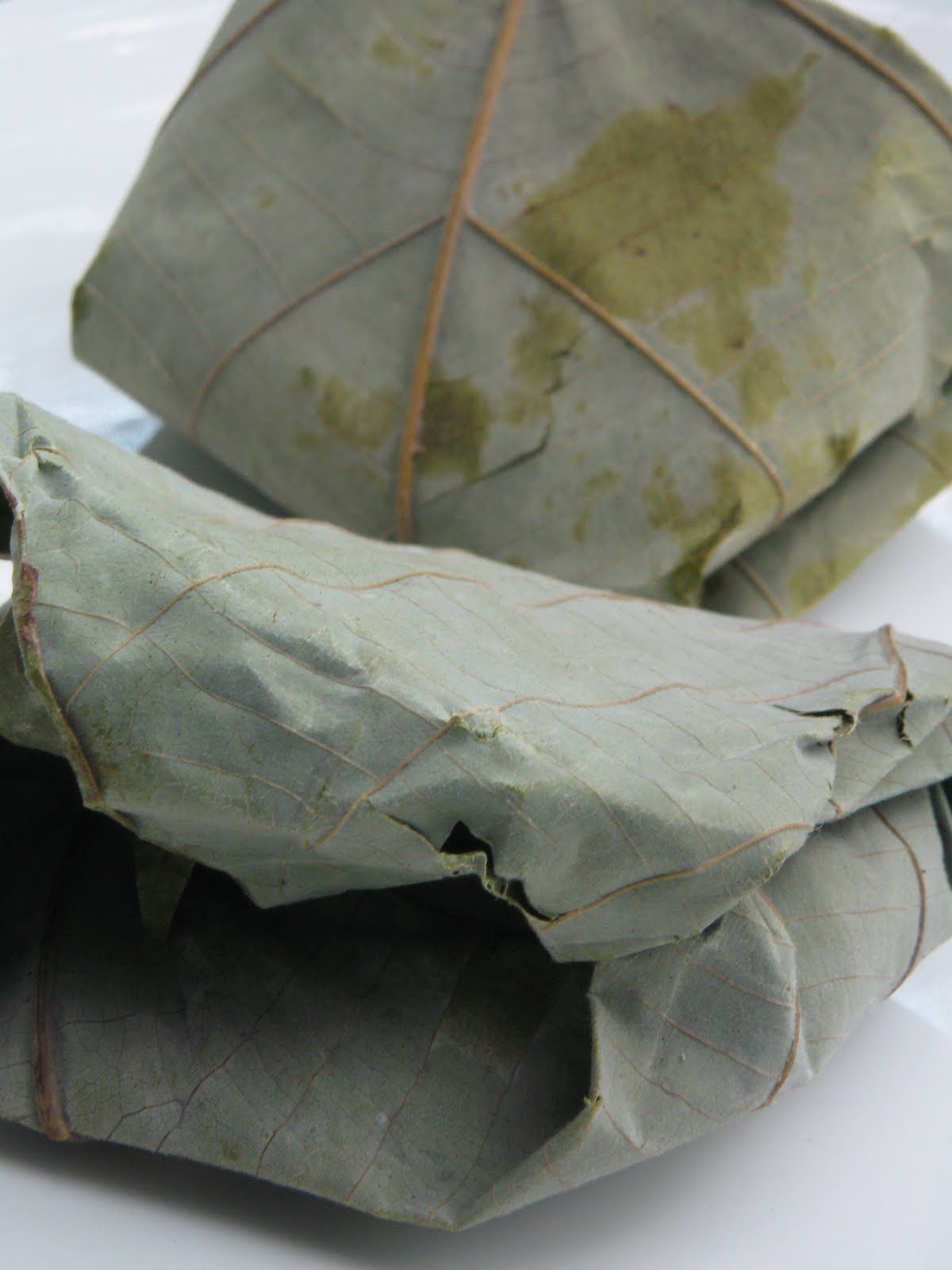 bucaio: Bring Home Bicol