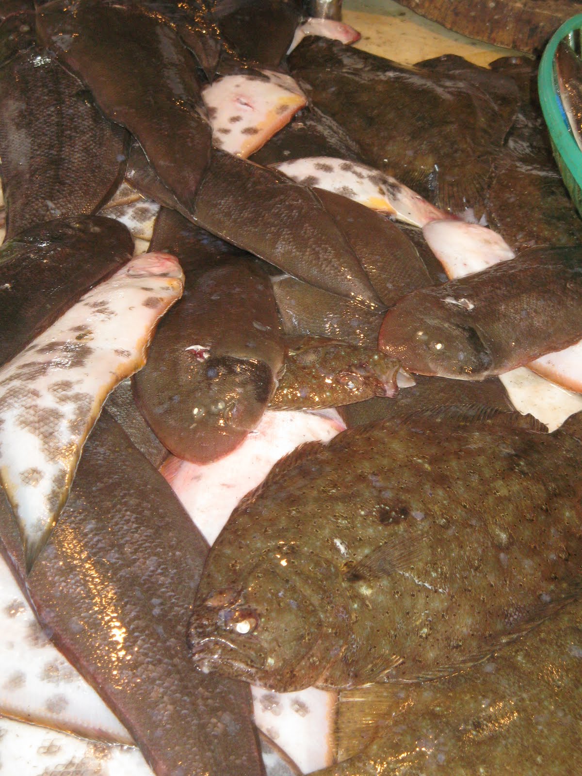 bucaio: Dapa at Palos