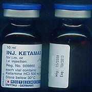 MEDS WORLD: Ketamax 500mg 10ml/vial from Haji Medicine 6.5$ per amp