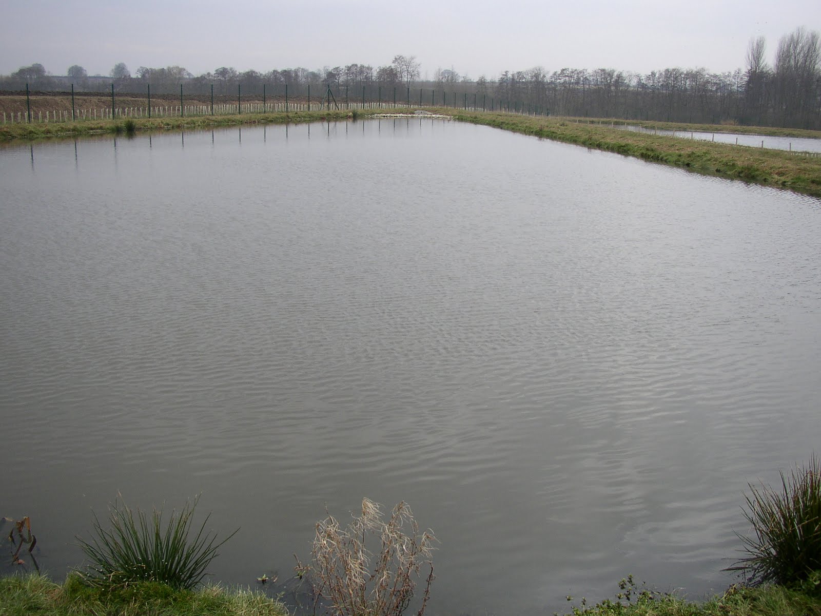 IWA Waste Stabilization Ponds: About our WSP Group