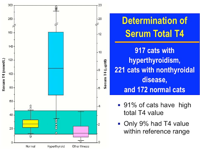 Animal Endocrine Clinic: What is T4? How is the T4 Test Used to ...