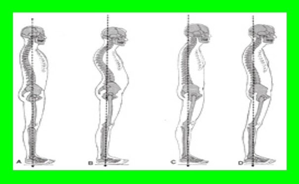 Hanson Performance Training: Posture Makes Perfect
