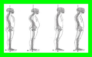 Hanson Performance Training: Posture Makes Perfect