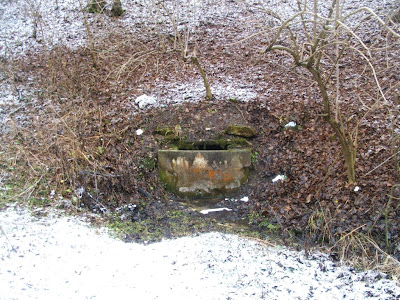 Kolozsvár környékének felfedezése és az Erdély: Bácsi-torok, 2009 jan ...