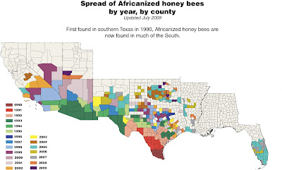 Case Study: Africanized Honey Bees: December 2009