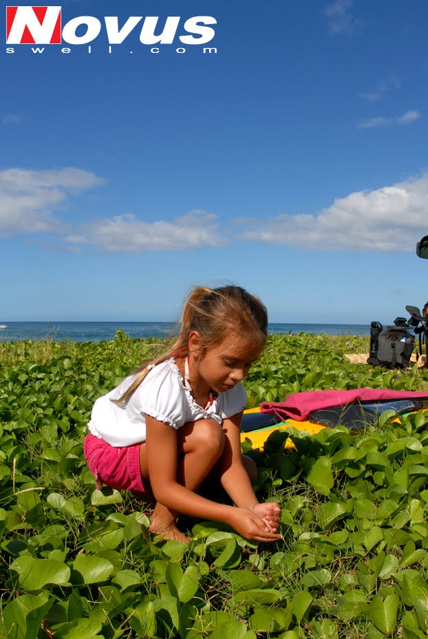 Kaz Sano Blog!: HSA contest at Maili Point