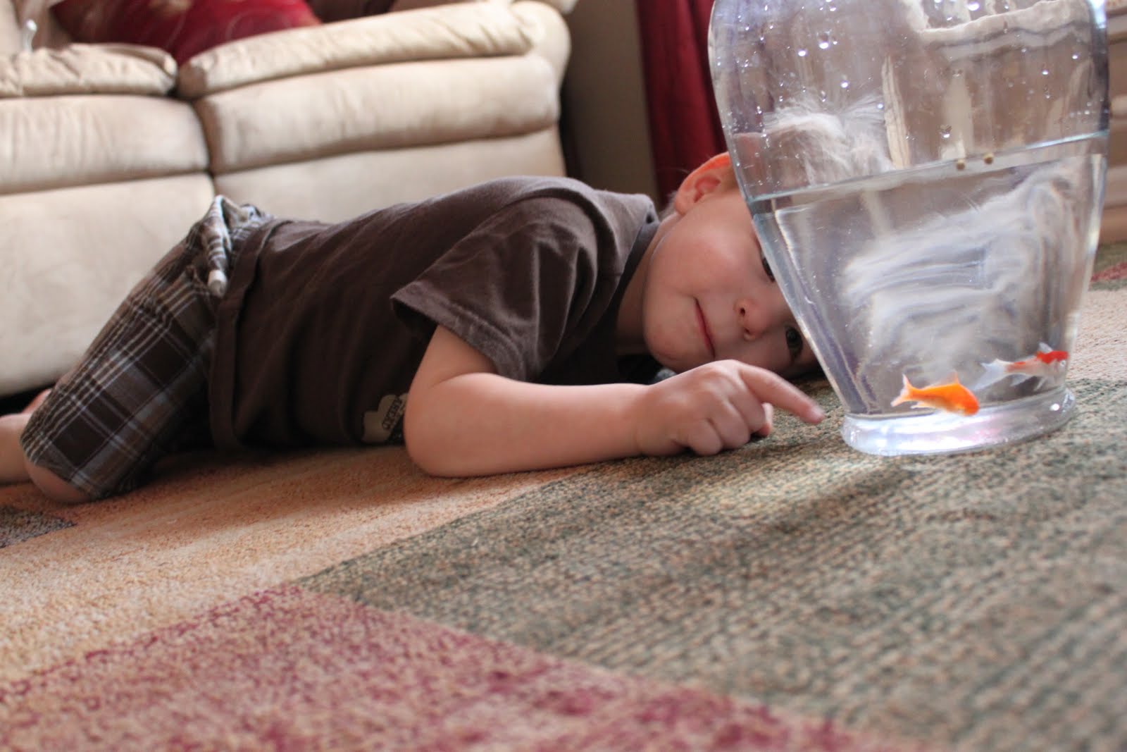 Just Me: Potty Training = Gold Fish