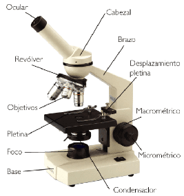 adriancastro: esquema de un microscopio optico
