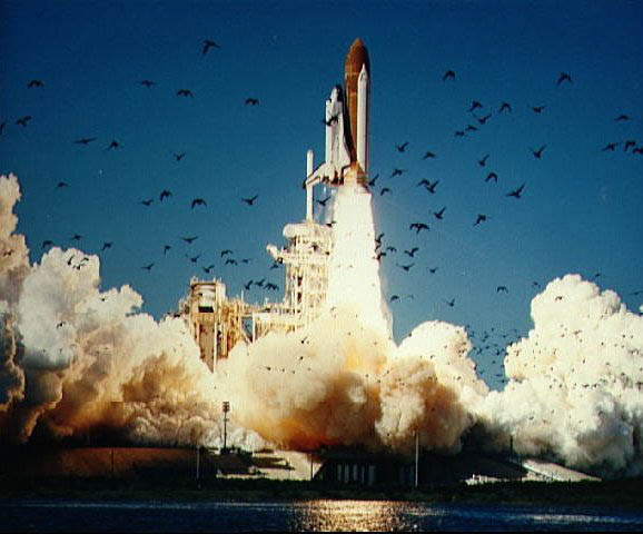 El desastre del Challenger ~ Quantum-Magazine.com