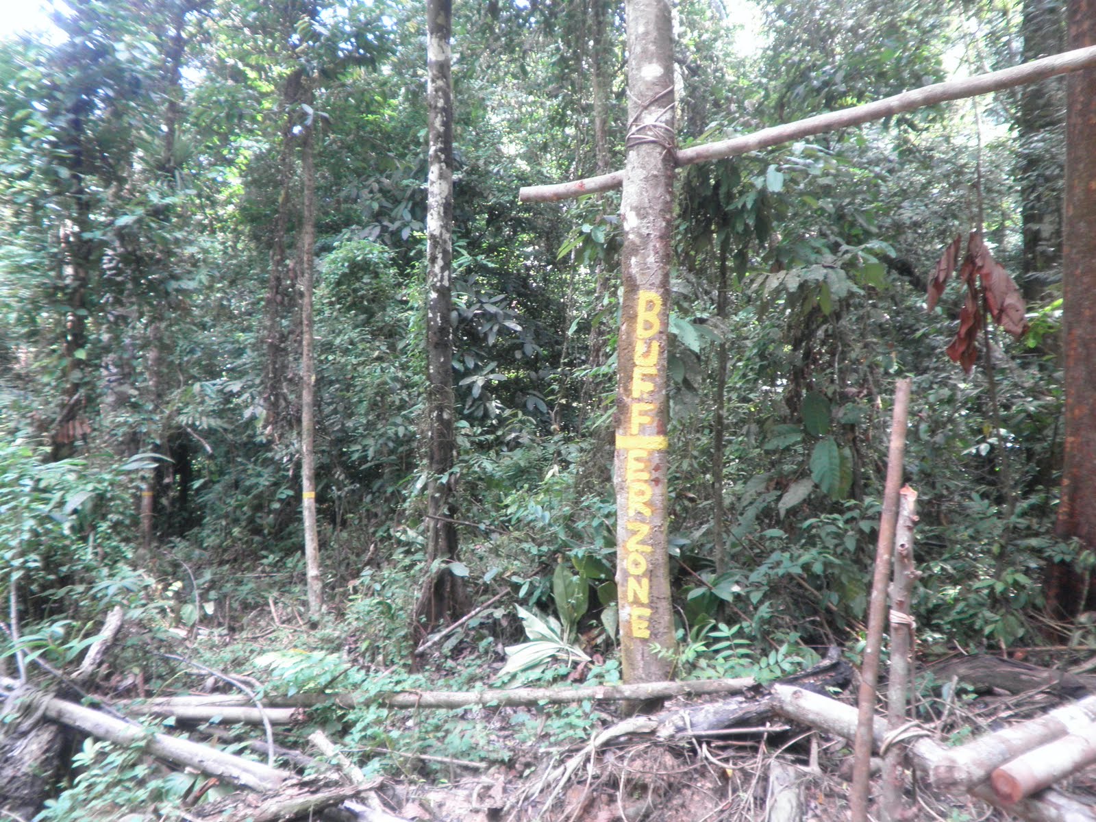 N9 TAHAN: GEMPAR!Penerokaan hutan di Ulu Tembeling!