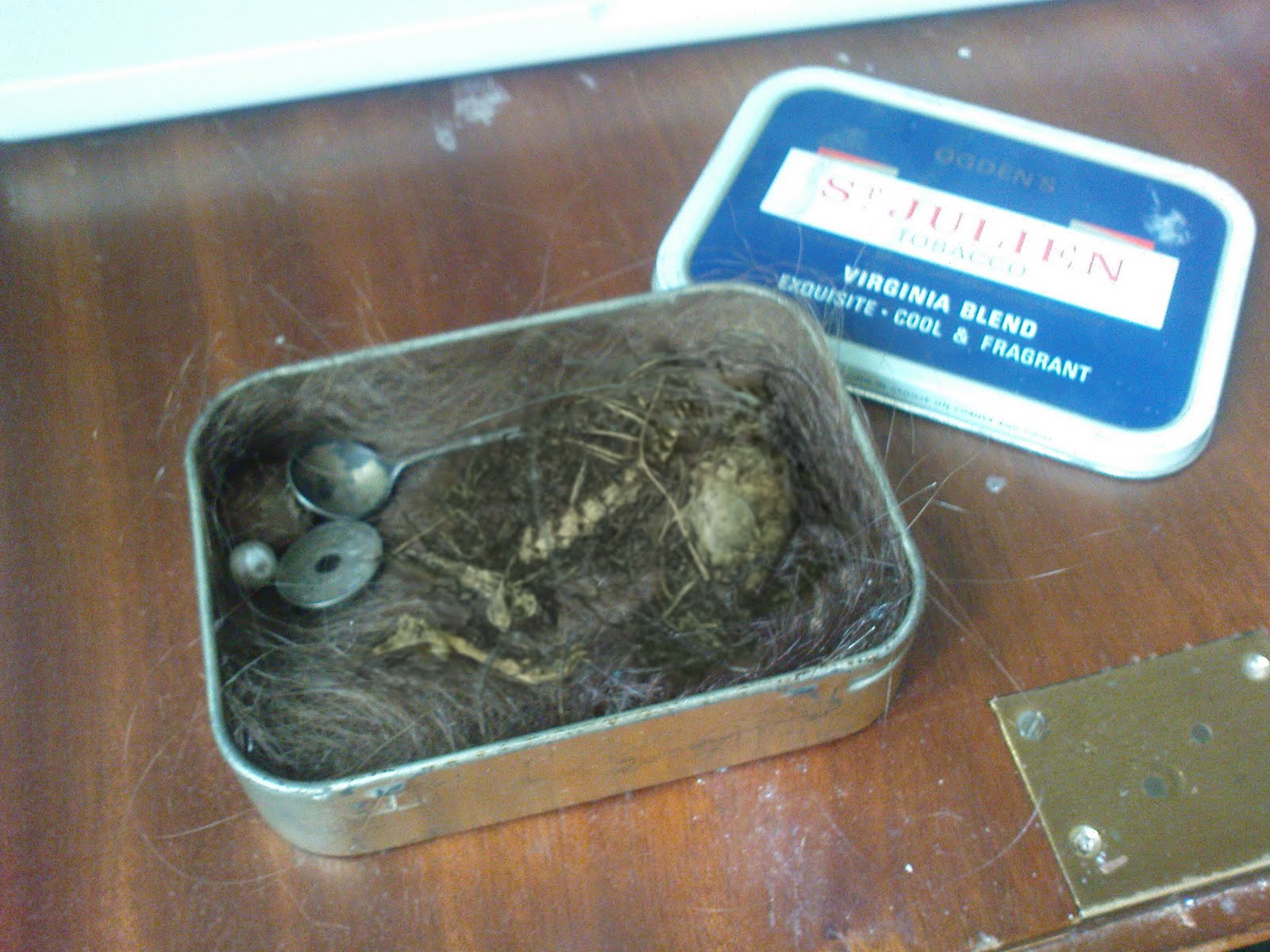 Rodents Of Unusual Size: tin coffin...