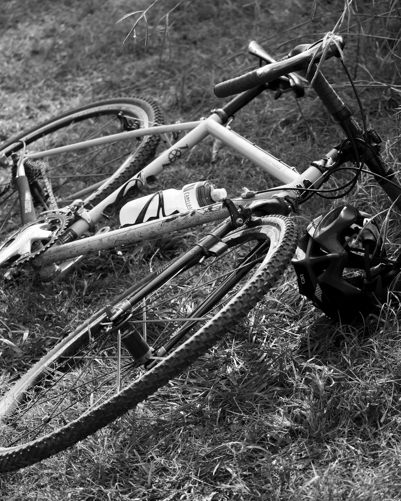 Life in the Bike Lane