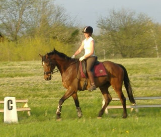 Behind the Bit: Rider size and horse size: Examples