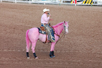 Cowboys and Chuckwagon Cooking : Tough Enough To Wear PINK